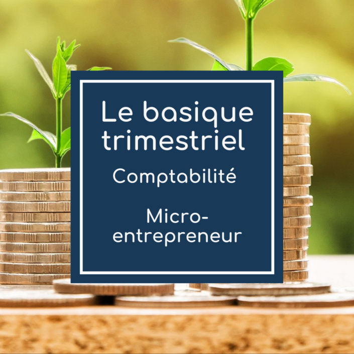 Votre fichier Excel gratuit pour gérer votre comptabilité de micro ...